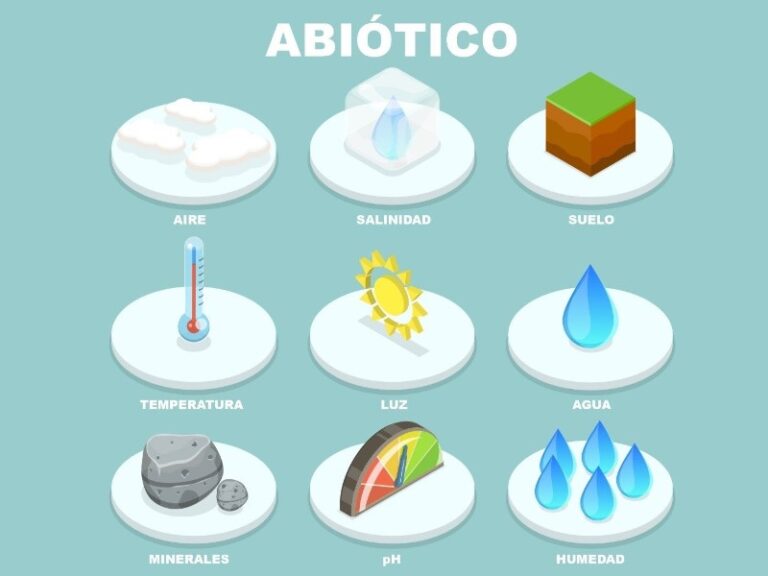 Factores Abióticos: Los Componentes No Vivos que Dan Forma a la Vida