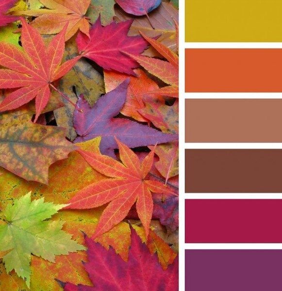 Los colores del otoño: una explosión de belleza natural