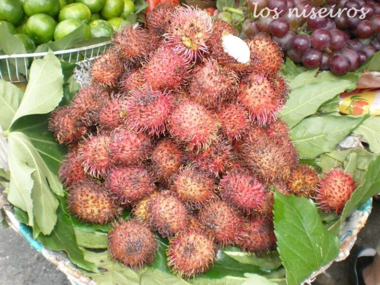 Frutas chinas y sus nombres: ¡Embárcate en un viaje a través del sabor ...