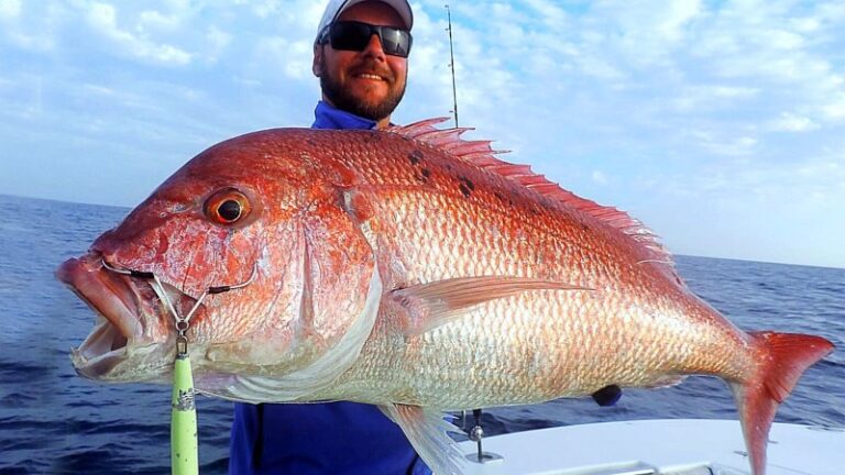 Los Gigantes del Mar: Un Viaje Submarino por los Peces Más Grandes del ...