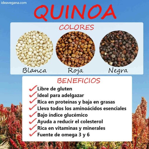Quinoa: Un Superalimento Con 11 Beneficios para tu Salud