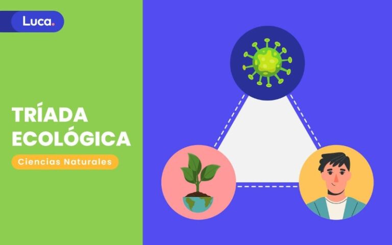 ¿Qué es la Triada ecológica? Elementos y definición